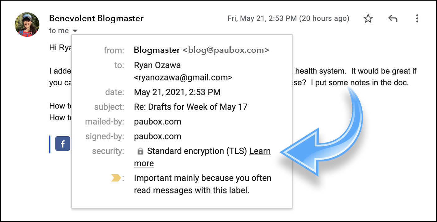 How to check if Gmail is using TLS encryption