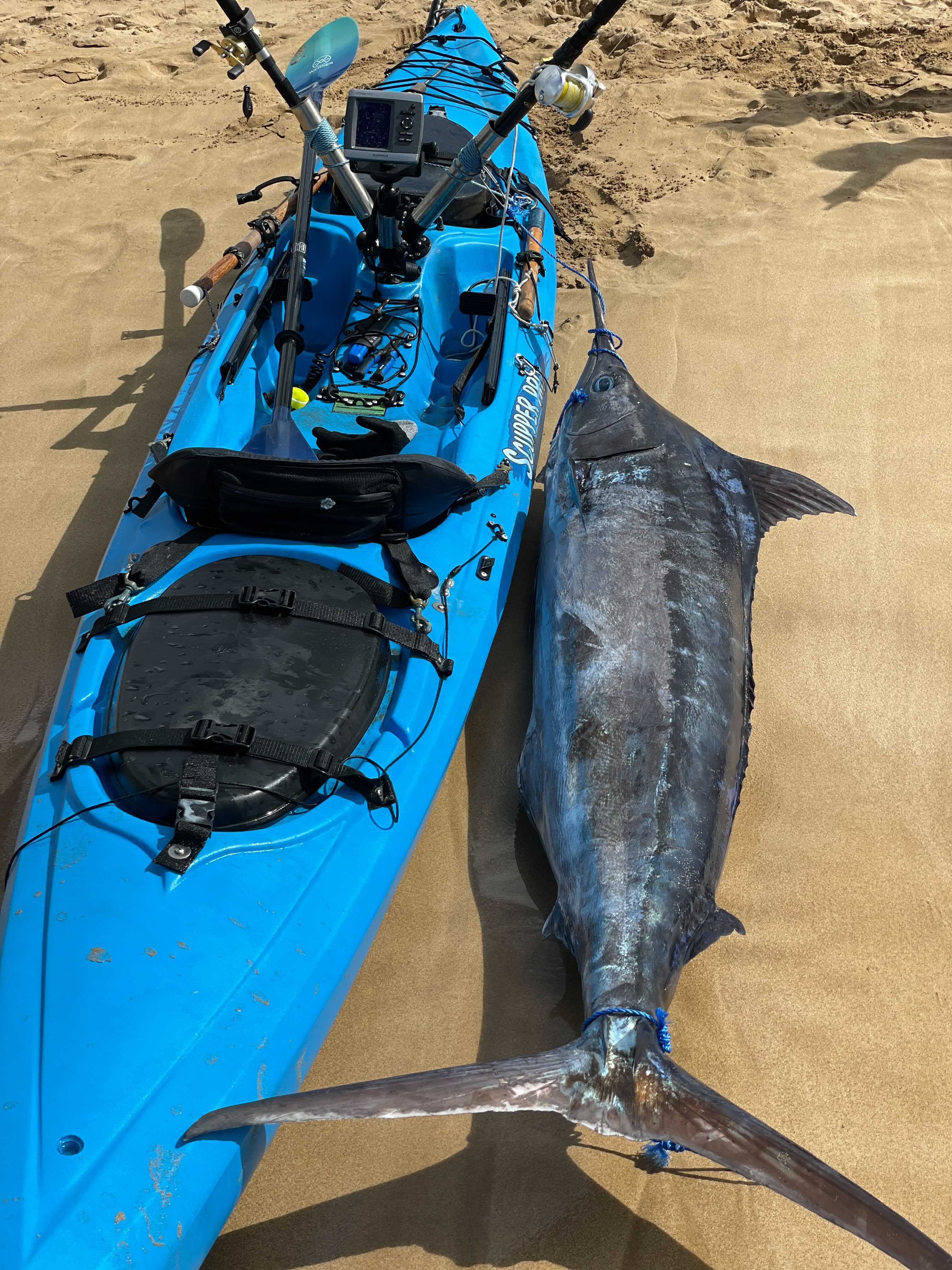 Cover story: 120-lb marlin from a kayak
